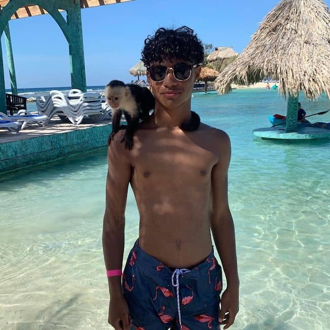 David Neal Net Worth, Age, Family & Biography